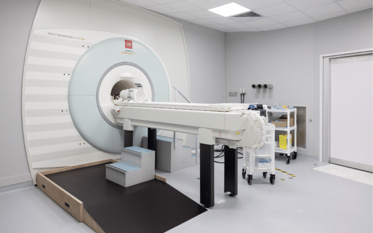 Iseult: The World's Most Powerful MRI Reveals Its First Images of the ...