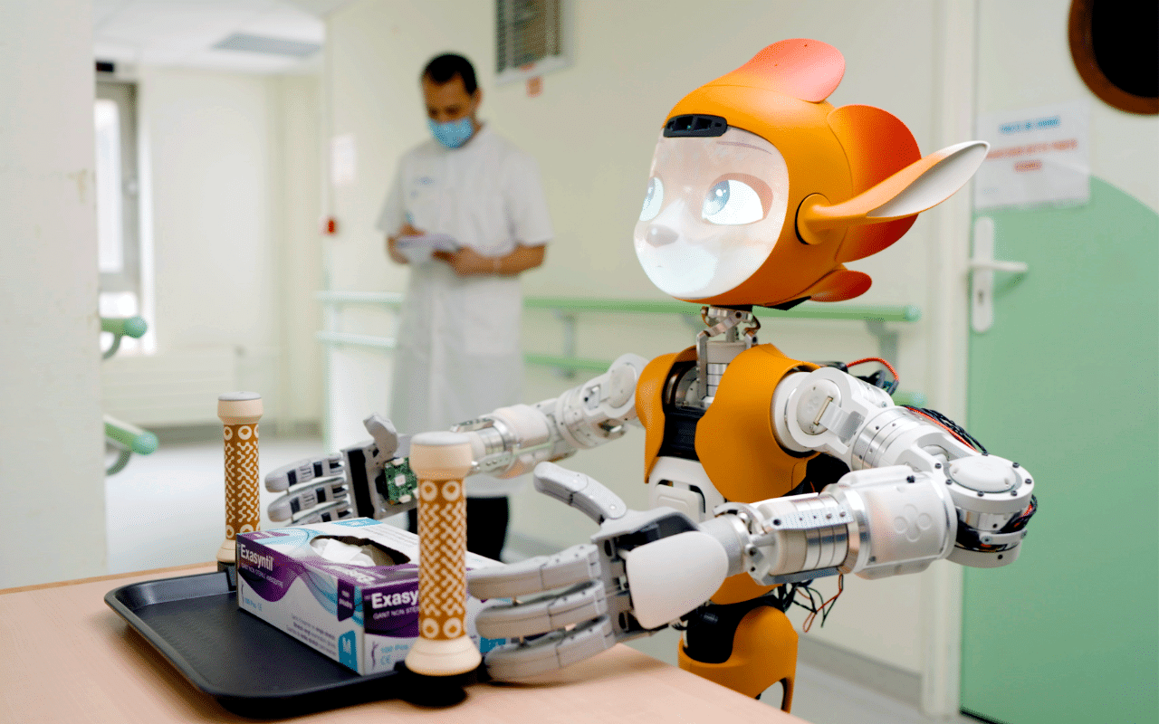 Humanoid Robots: Striding Towards Working in Industry and Healthcare ...