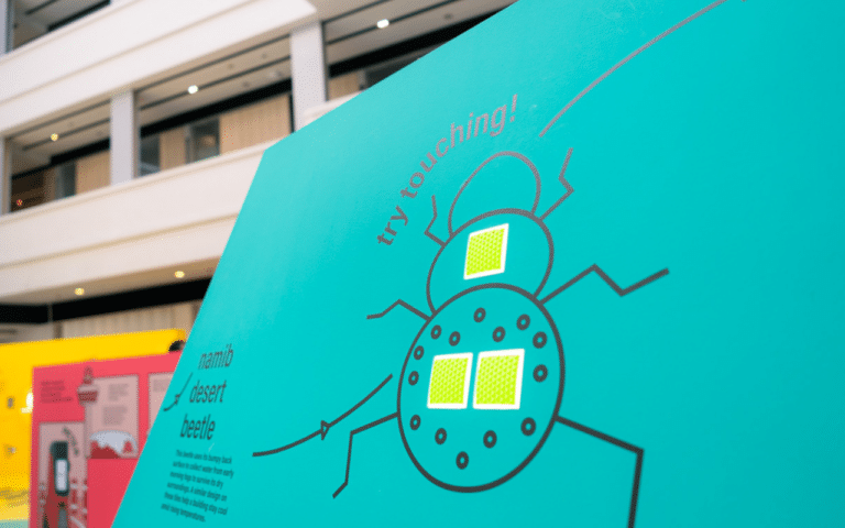 Biomimicry: Using Nature-Inspired Design for Energy-Efficient Buildings ...
