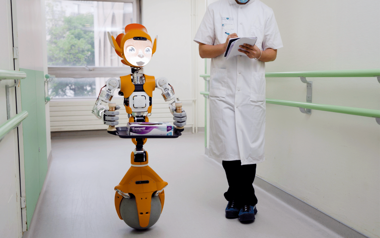 Humanoid Robots: Striding Towards Working in Industry and Healthcare - DirectIndustry e-Magazine