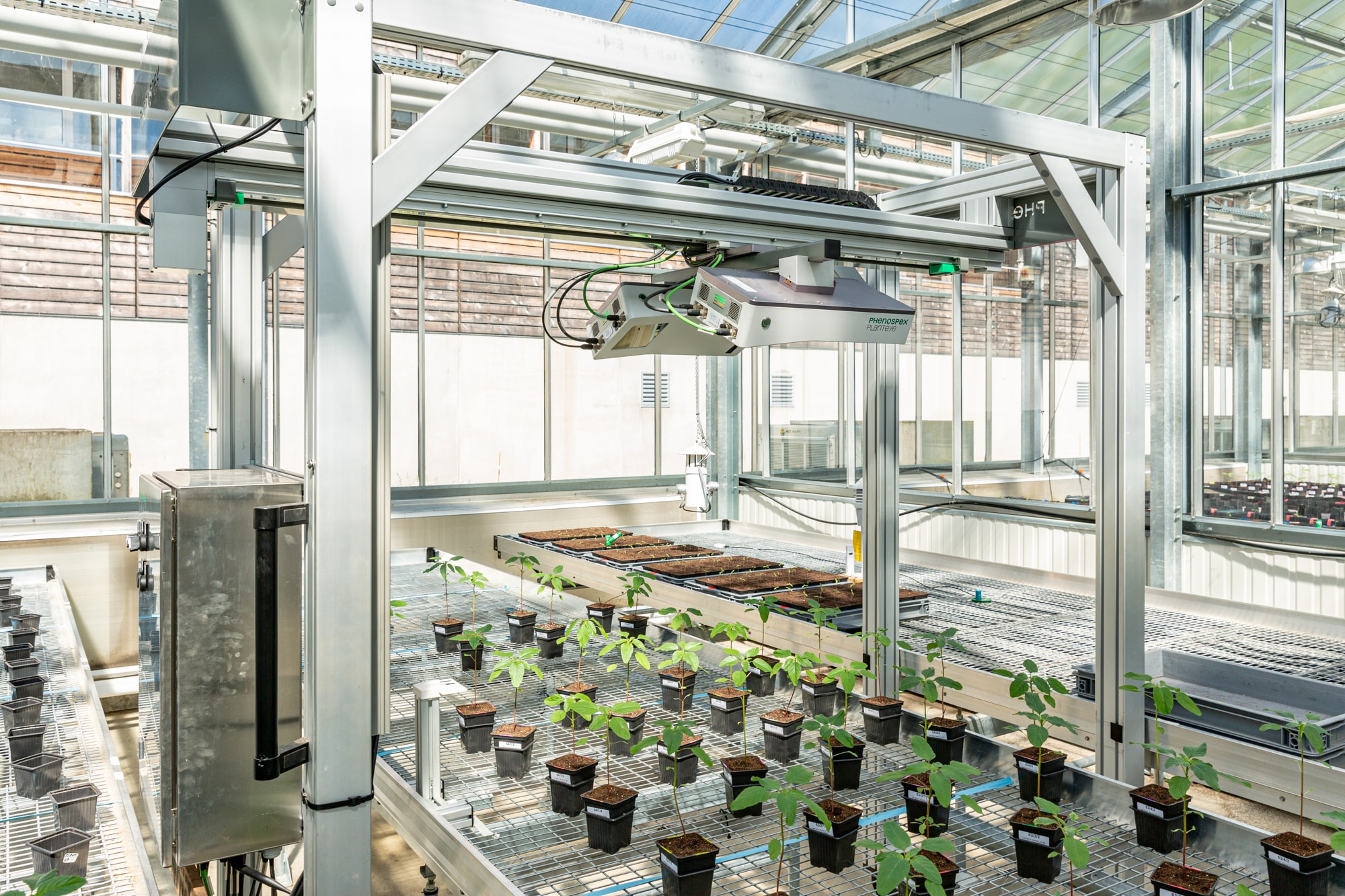 Micropep Wants to Protect Crops With Micropeptide-Based Fungicides ...