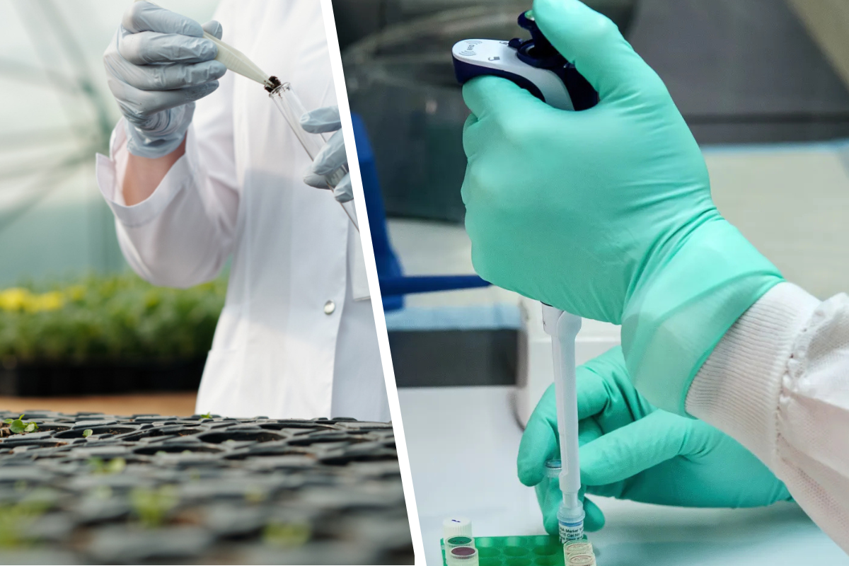 Aramis Biotechnologies: Cultivating the Future of Vaccines Through ...