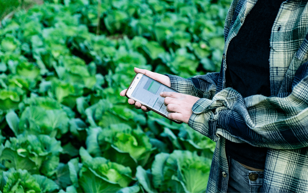 How AI and Renewables Are Revolutionizing Harvest