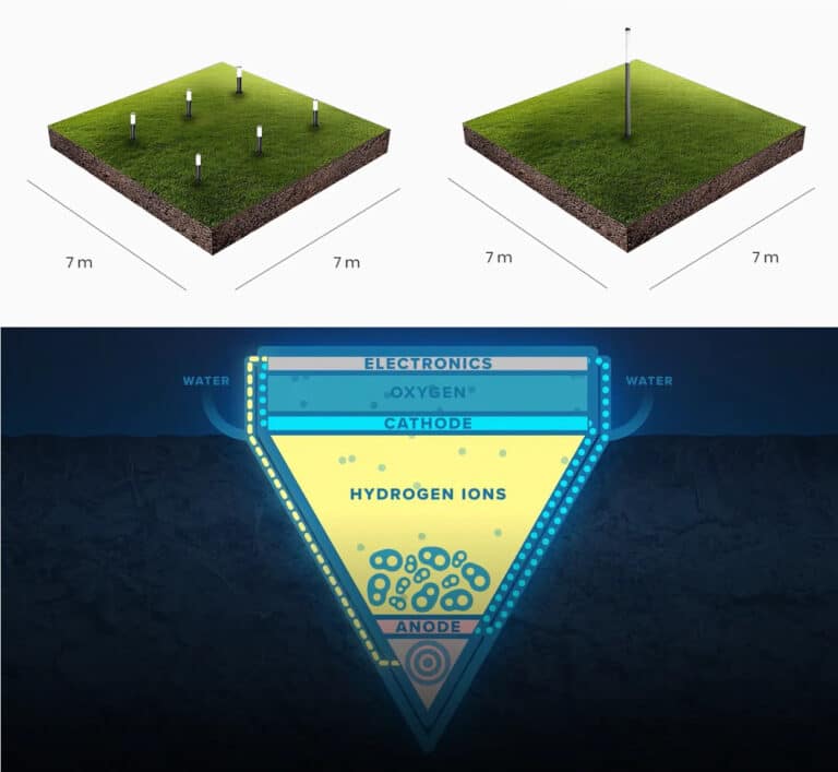 Harnessing Bioluminescence for Sustainable Urban Lighting ... Harnessing Bioluminescence for Sustainable Urban Lighting ...