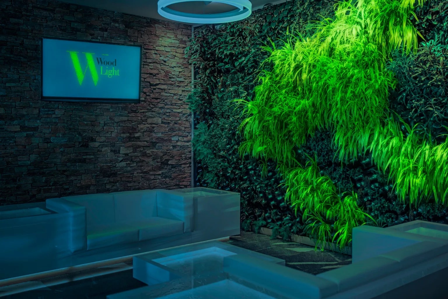 Harnessing Bioluminescence for Sustainable Urban Lighting ... Harnessing Bioluminescence for Sustainable Urban Lighting ...